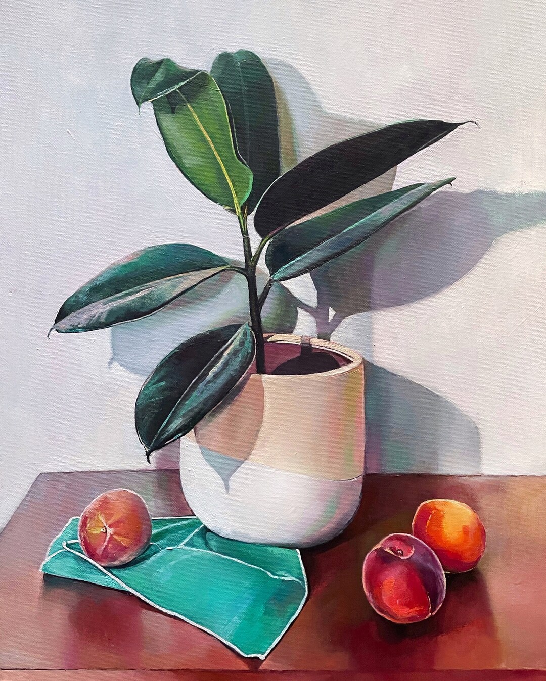 Rubber Tree Plant With Peaches - Etsy