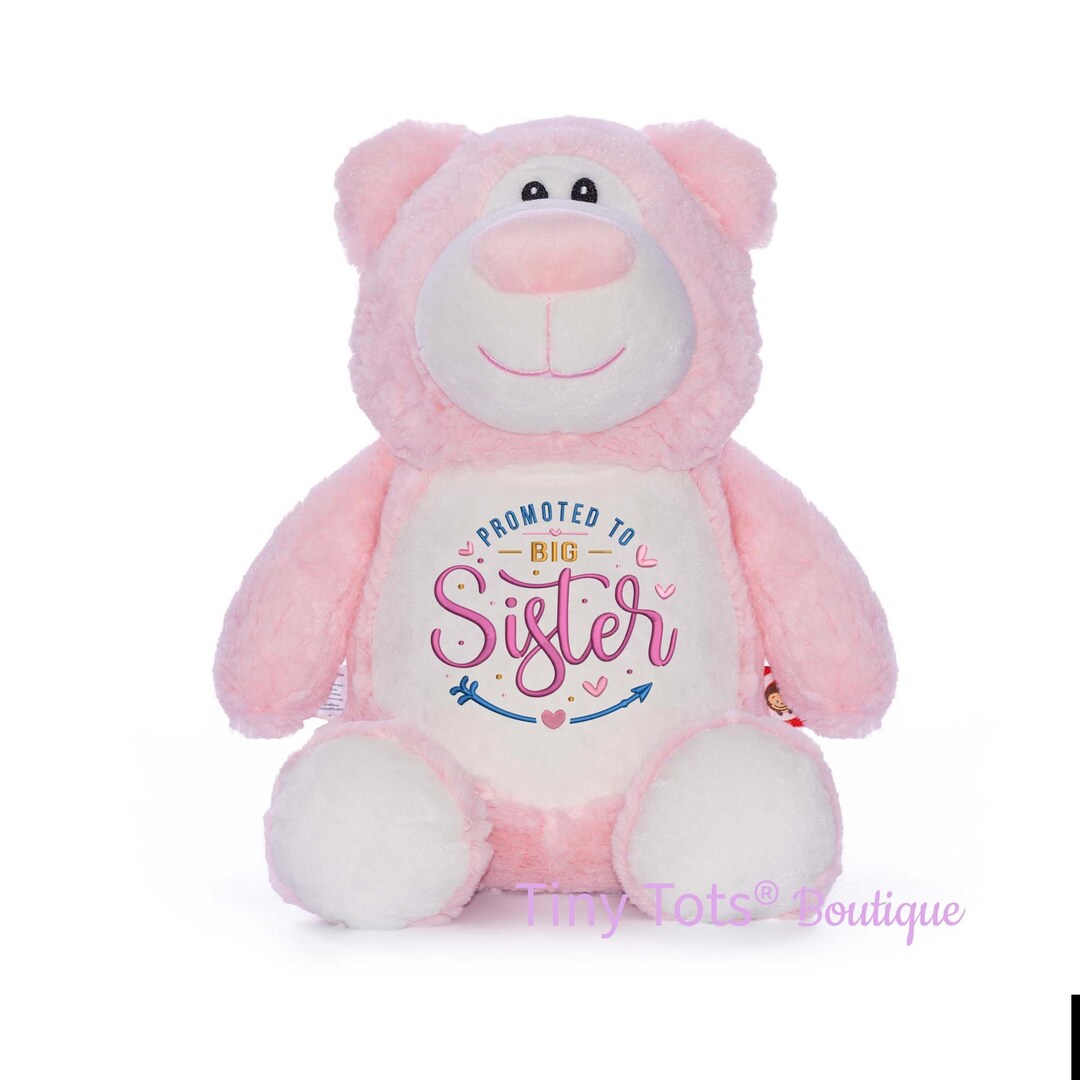 Personalized Big Sister and Little Sister Plush Bear Set – Custom Plush ...