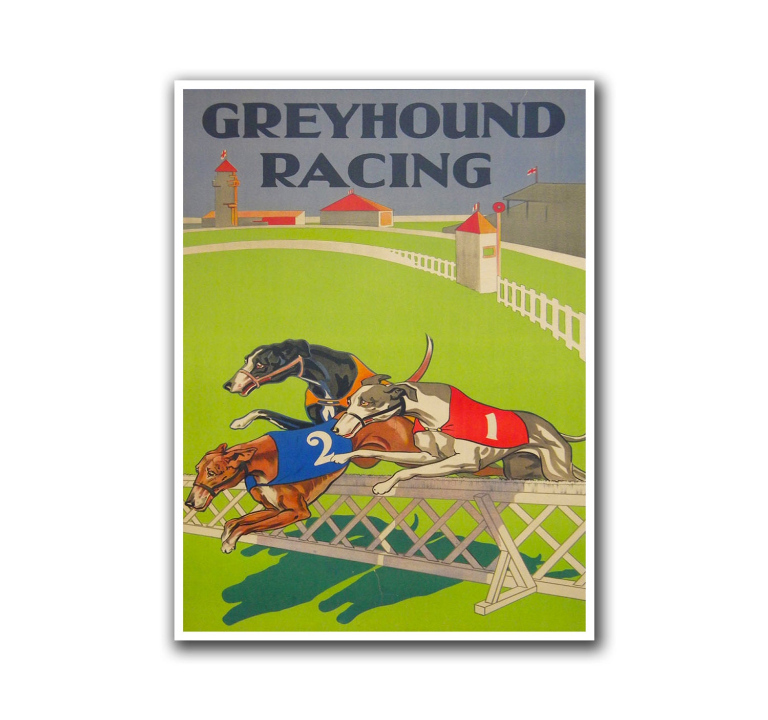 Dog Racing Poster Greyhound Sports Art Home Decor Print H53 | Etsy