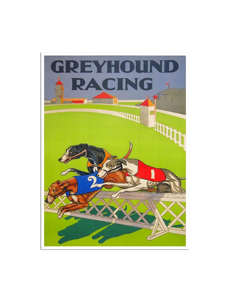 Dog Racing Poster Greyhound Sports Art Home Decor Print (H53) - Etsy