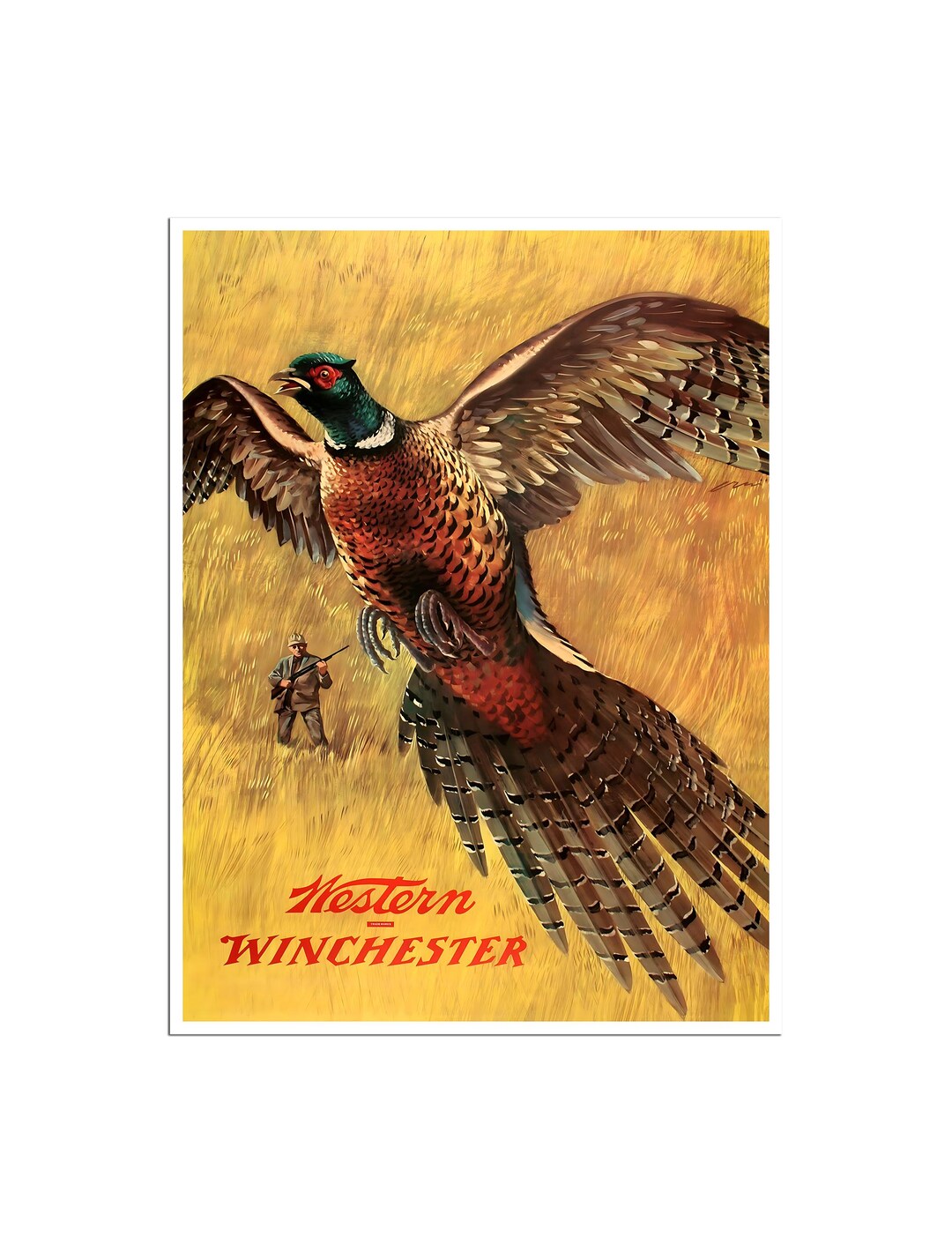 Bird Hunting Art Home Decor Pheasant Sports Poster Wall Art Print (H213 ...