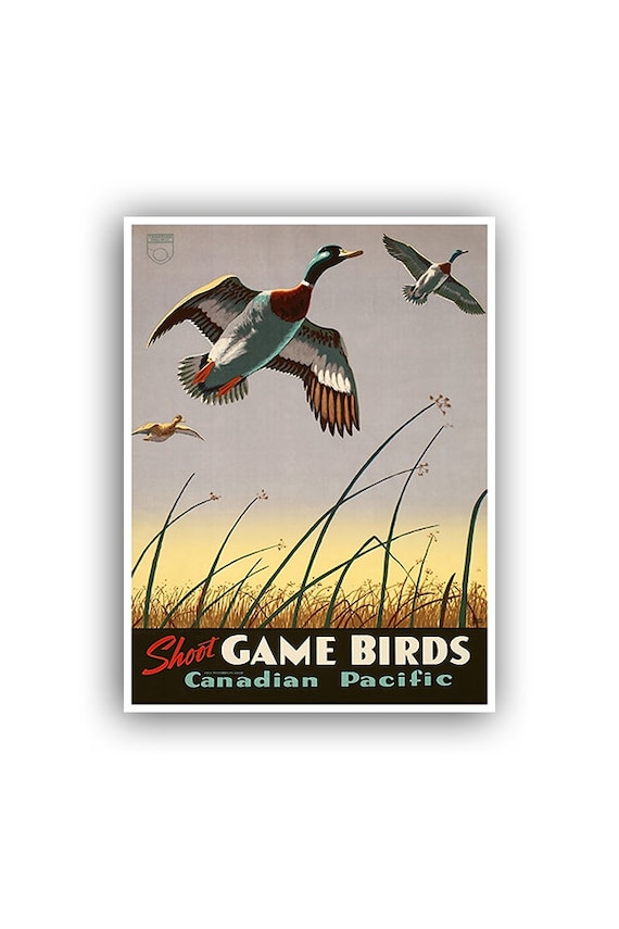 Vintage Duck Hunting Pictures