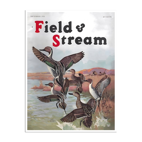 Vintage Field and Stream Cover - Etsy