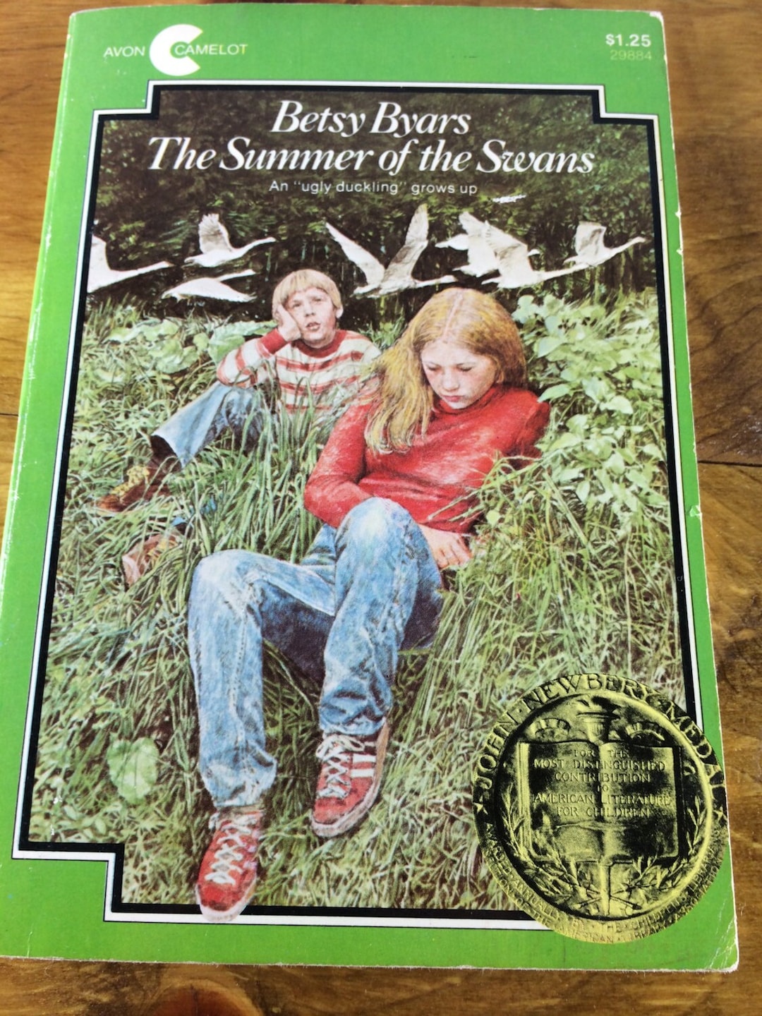Betsy Byars "the Summer of the Swans" 1970 - Etsy