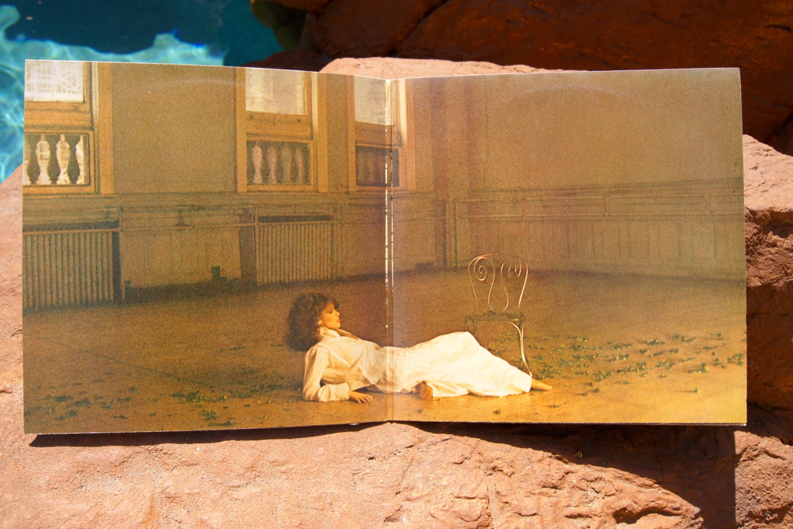 1978 Carly Simon Boys in the Trees Vinyl LP Gatefold - Etsy UK