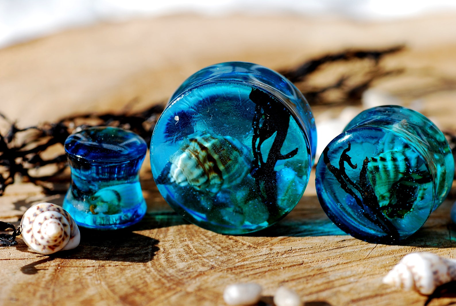 Seashell Ocean Resin Gauges, Blue Surf Gauges, Summer Beach Ear Plugs ...