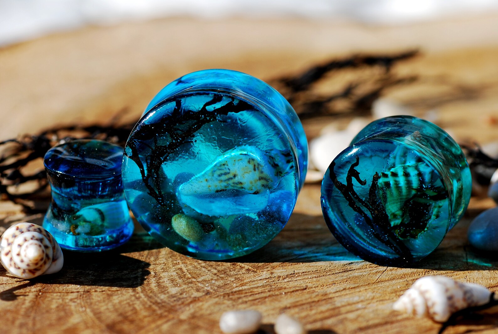 Seashell Ocean Resin Gauges, Blue Surf Gauges, Summer Beach Ear Plugs ...