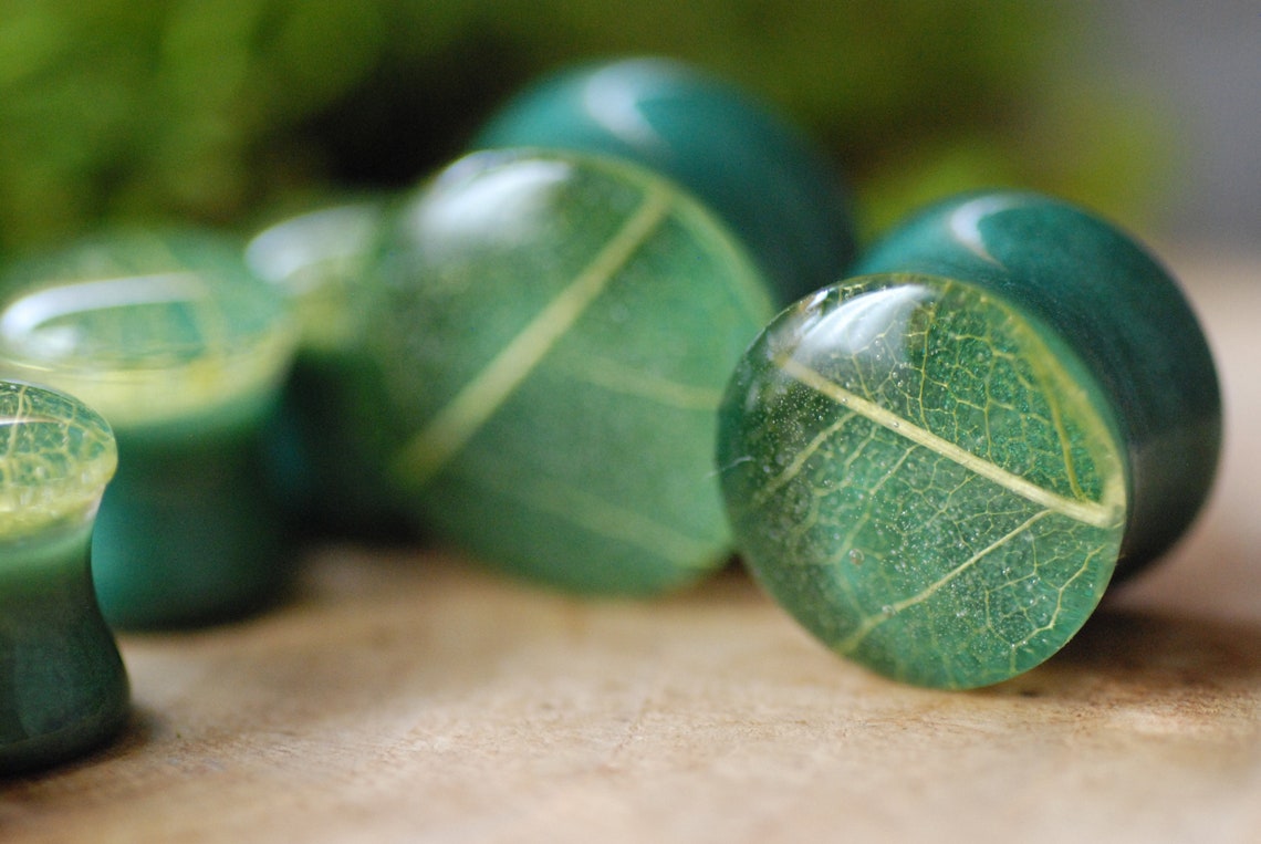 Real Leaf Ear Plugs Green Gauges Skeleton Leaves Plug - Etsy