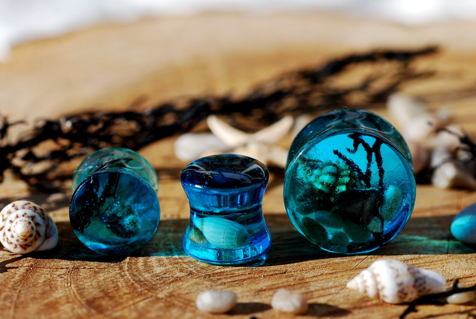 Seashell Ocean Resin Gauges, Blue Surf Gauges, Summer Beach Ear Plugs ...