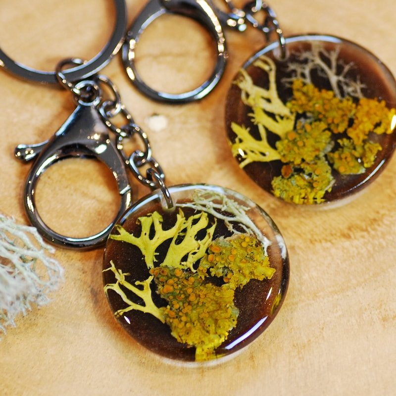Nature Keychain - Etsy