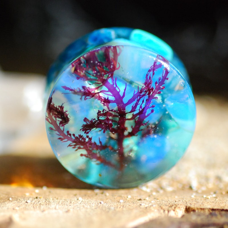 Custom Ear Gauges - Etsy