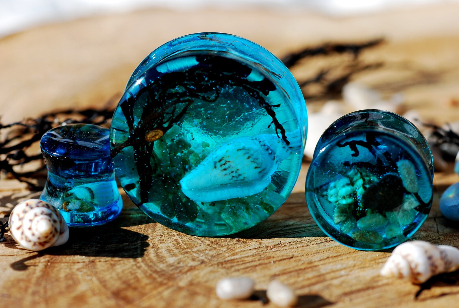 Seashell Ocean Resin Gauges, Blue Surf Gauges, Summer Beach Ear Plugs ...