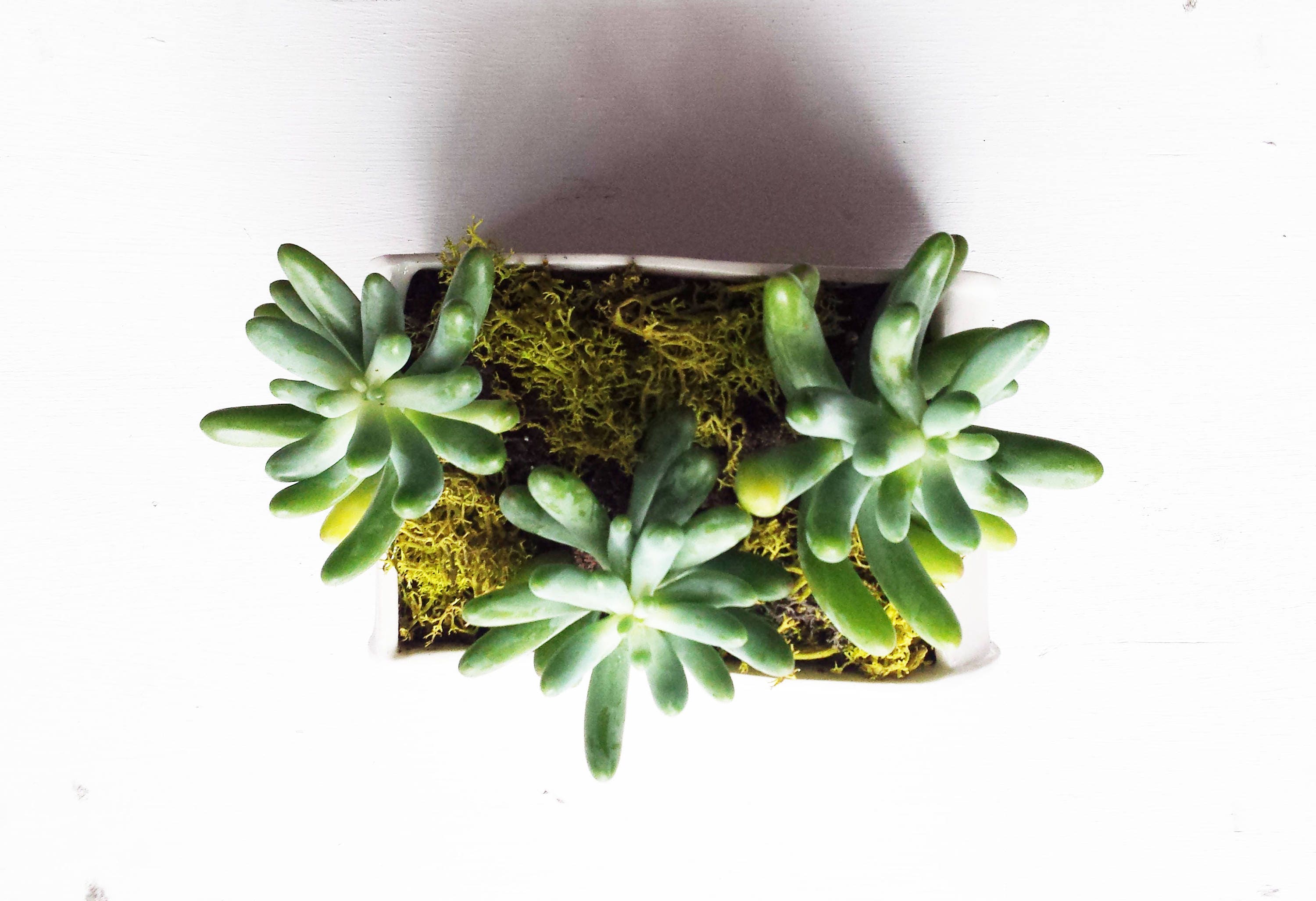 Large Red Van Planter. Perfect Cactus or Succulent Planter. Unique ...