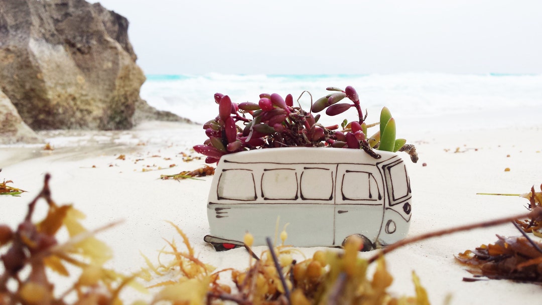 Small Light Blue Van Planter. Perfect Cactus or Succulent Planter ...