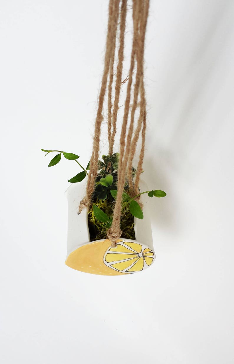 Small lemon planter. Perfect cactus or succulent ceramic | Etsy