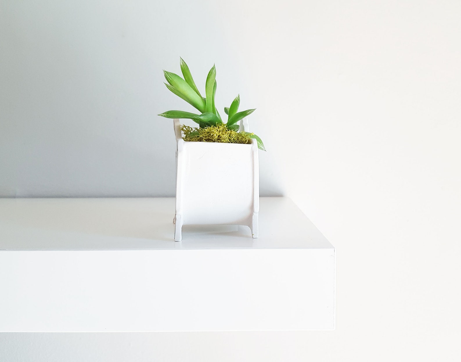 Small Furniture Vase for Plants. Perfect Cactus or Succulent - Etsy