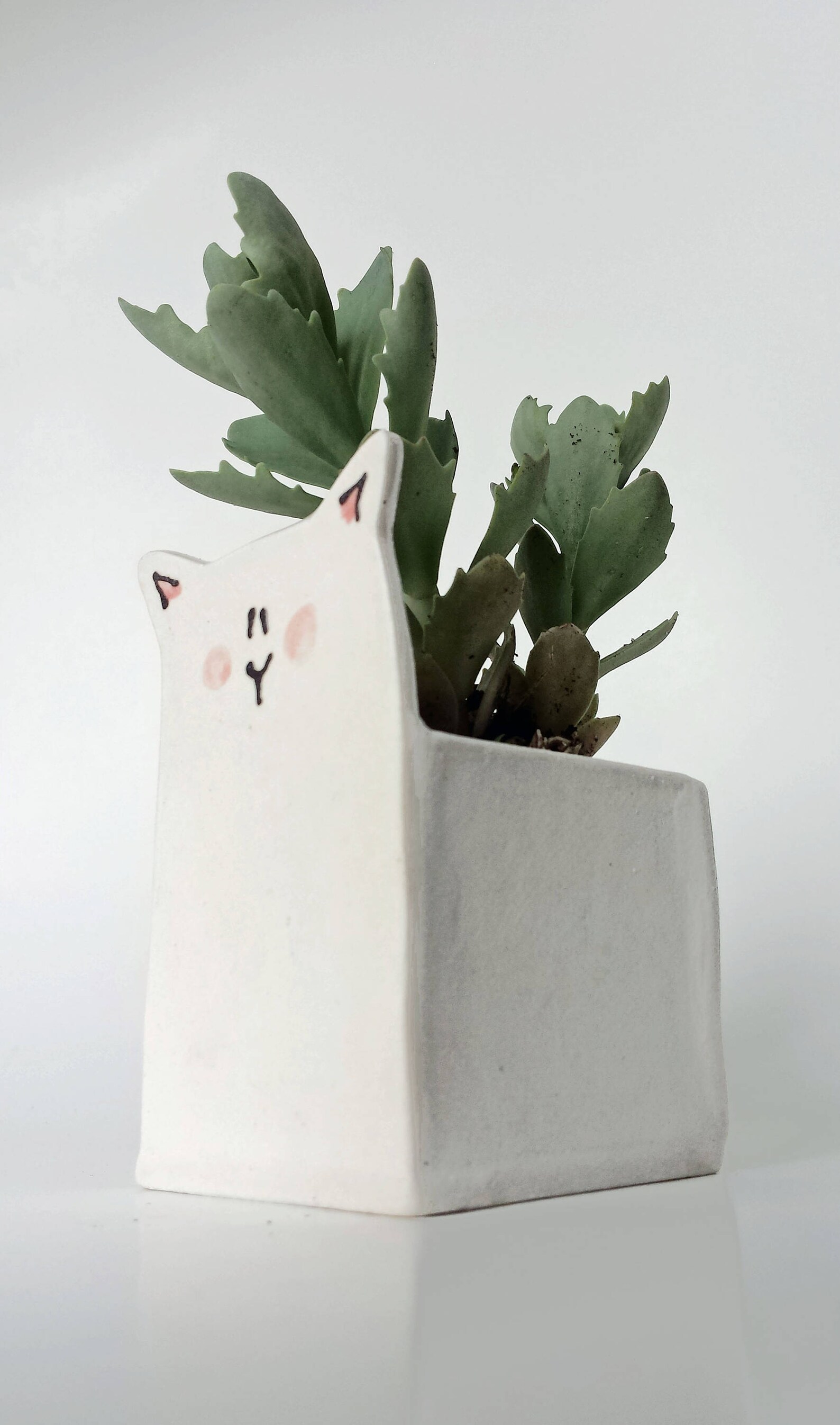 Small Cat Planter. Little Vase Perfect for Cactus Succulent. | Etsy