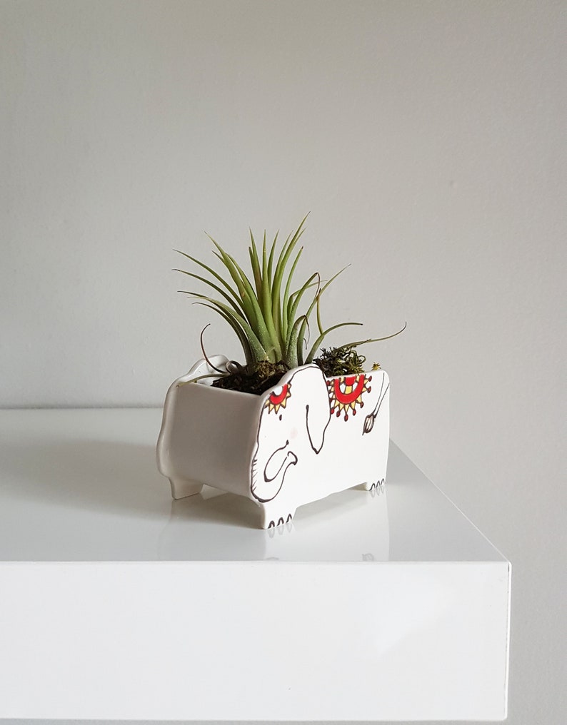 Small White Elephant Planter. Perfect Cactus or Succulent Planter ...