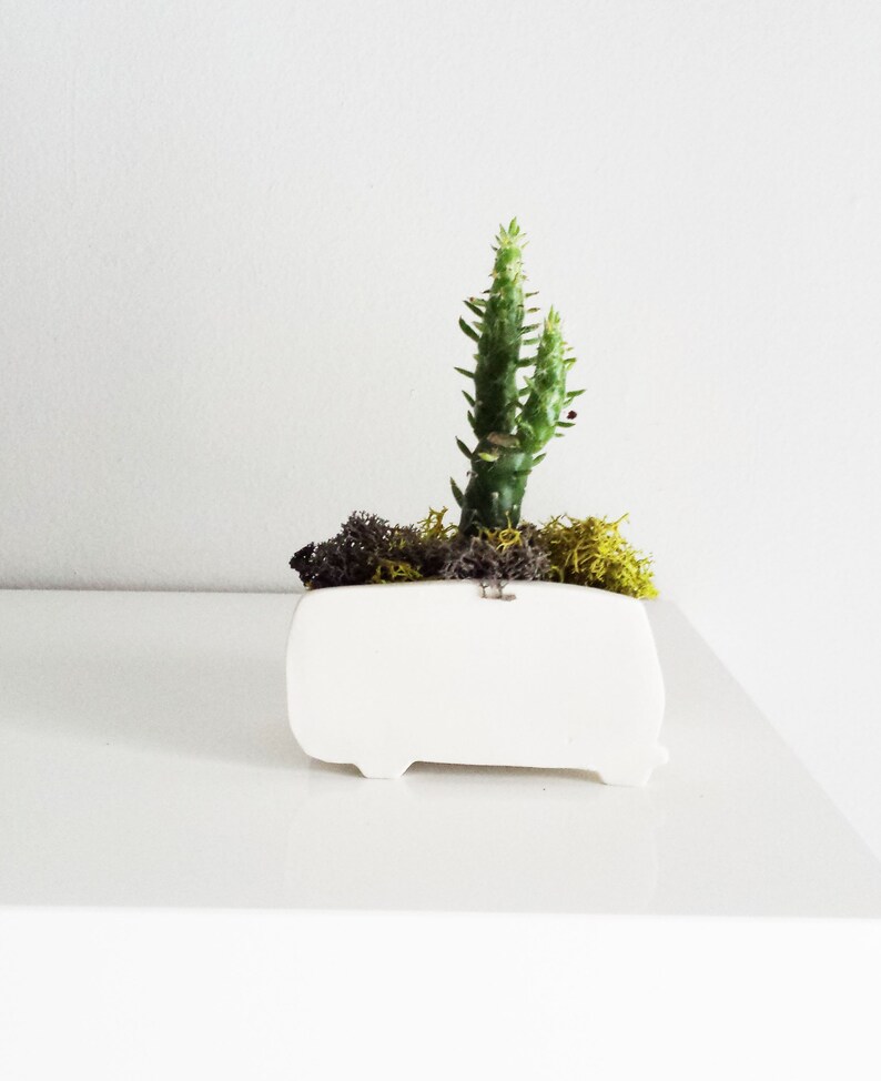 Small White Elephant Planter. Perfect Cactus or Succulent Planter ...