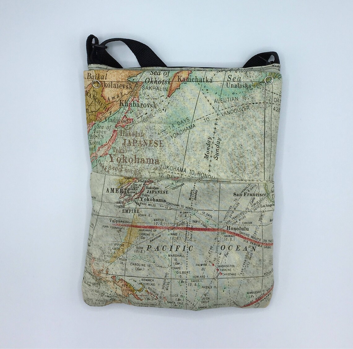 Deluxe Carry Bag, Waterproof, Brown Map Pattern, for Hedgehogs, Sugar ...