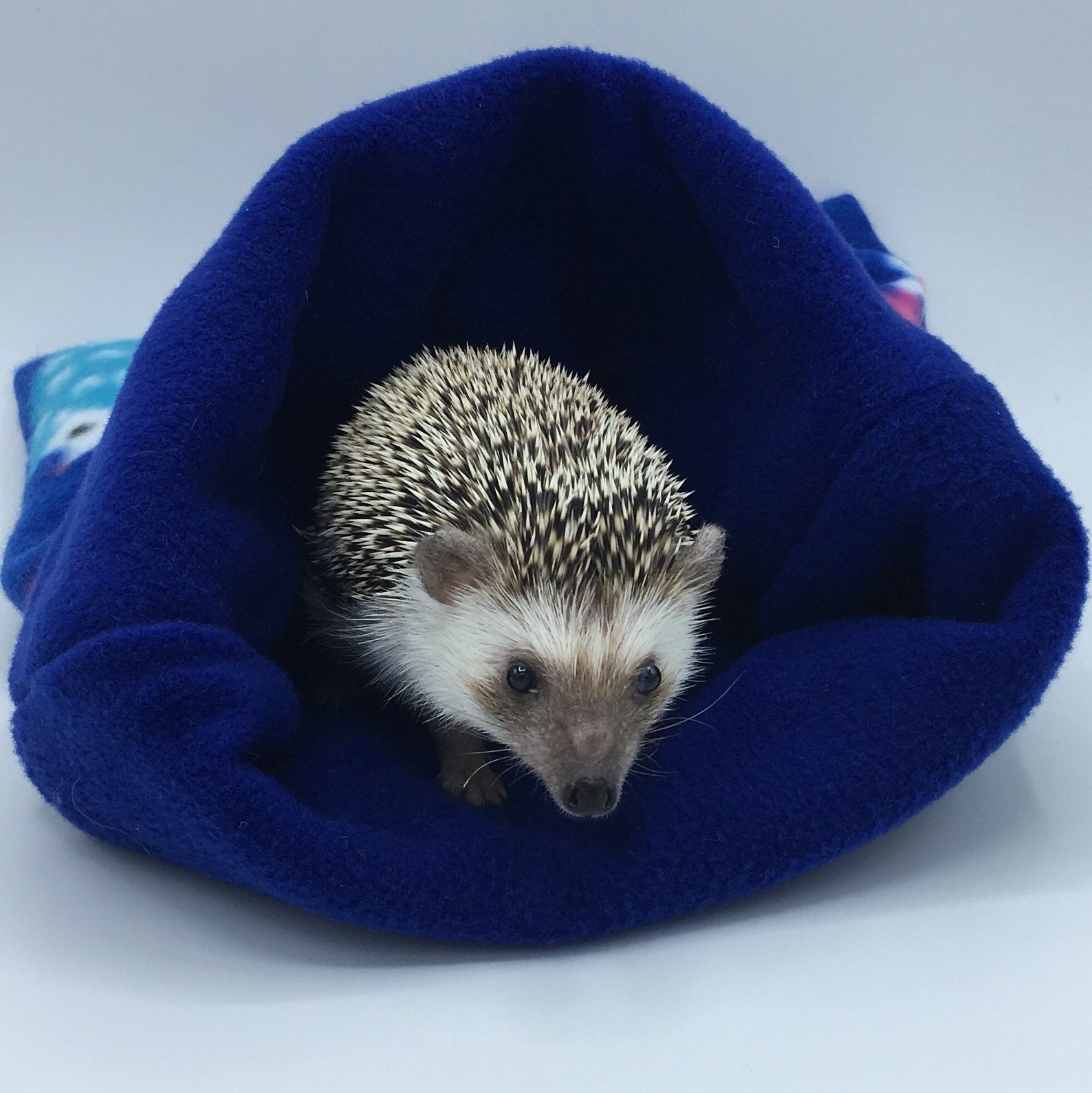 Fleece Sleep Sack Cuddle Sack Blue Spring Hedgehogs for - Etsy