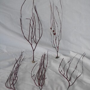5 Twigs of Real Purple Scarlet Plumb Sea Grass From the Gulf of Mexico ...