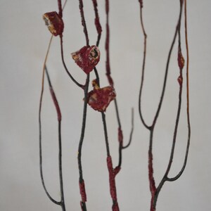 5 Twigs of Real Purple Scarlet Plumb Sea Grass From the Gulf of Mexico ...