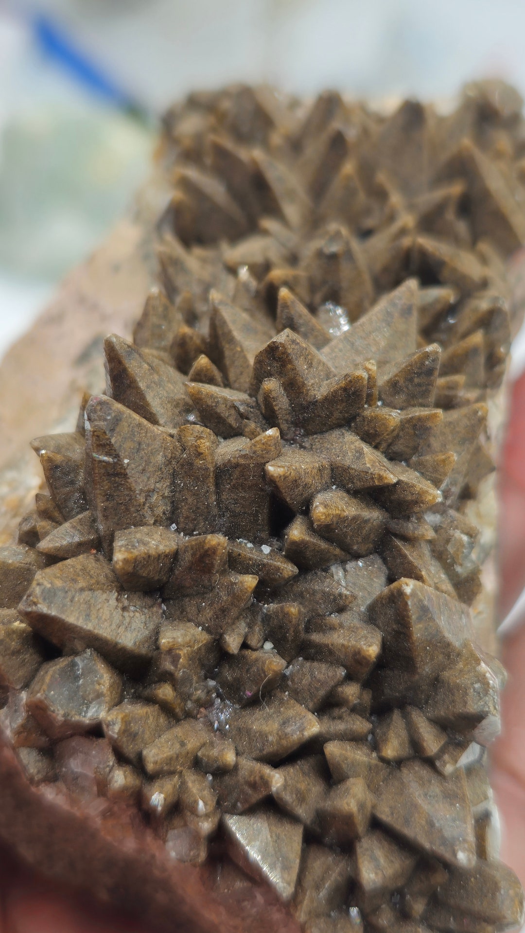 Chocolate Mexican Dogtooth Calcite Crystals! - Etsy