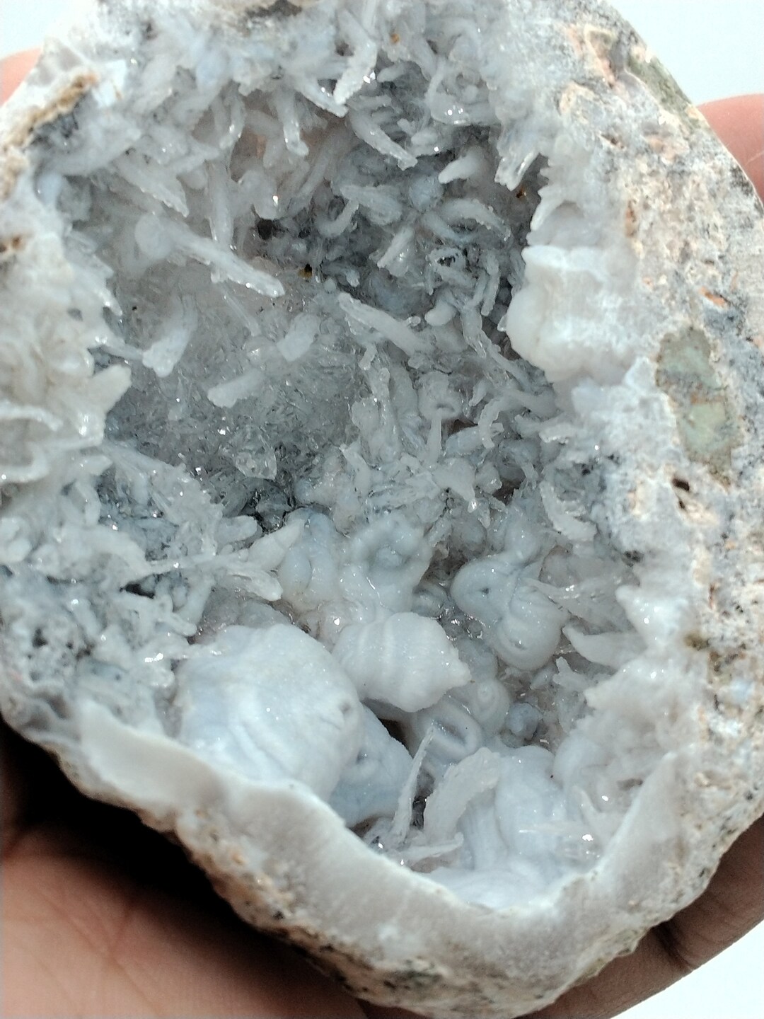 Mexican Crystal Quartz Geode ! - Etsy