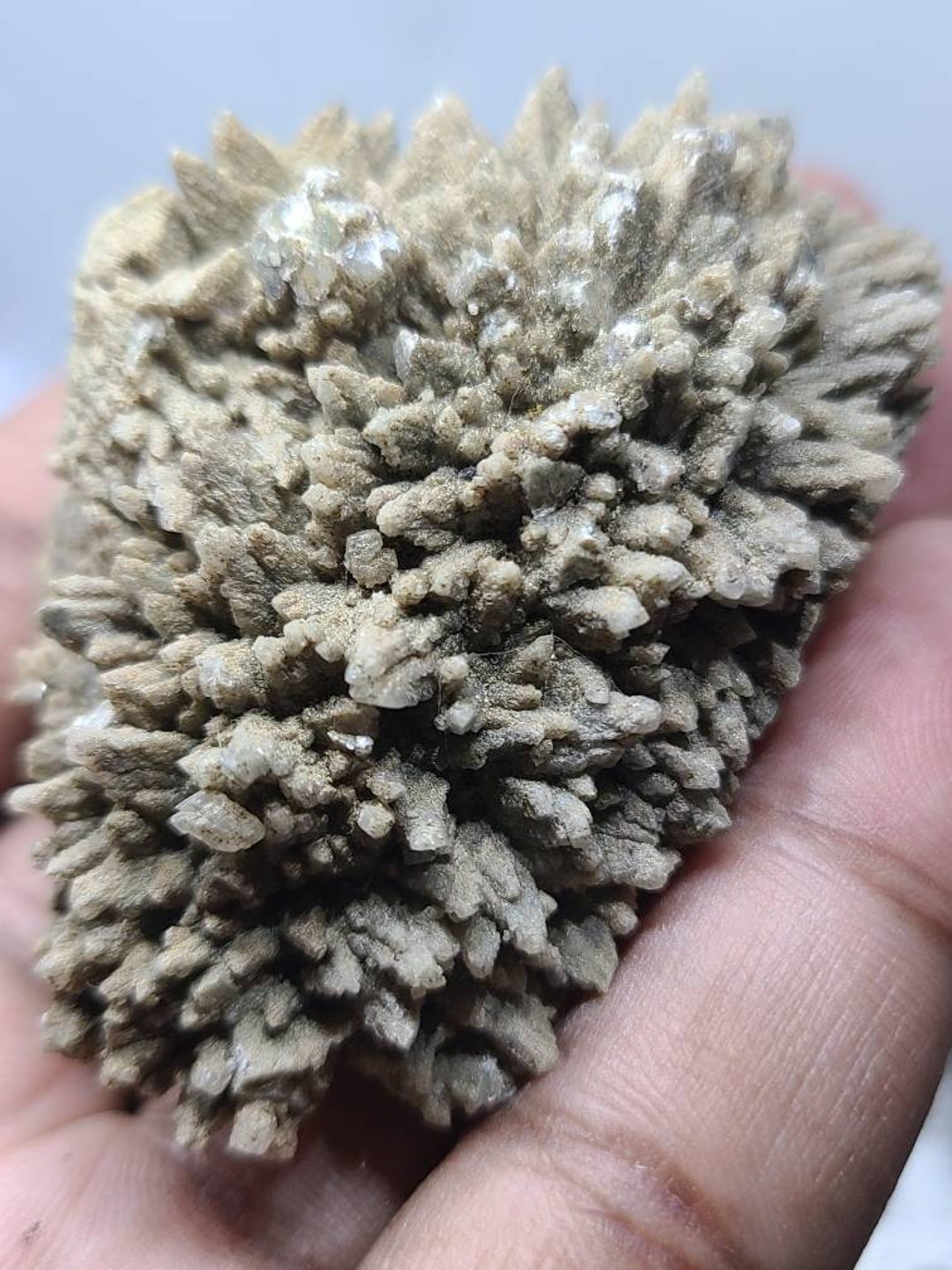 Calcite Dogtooth/grey Calcite/specimen/rock and Mineral/crystal and Gem ...