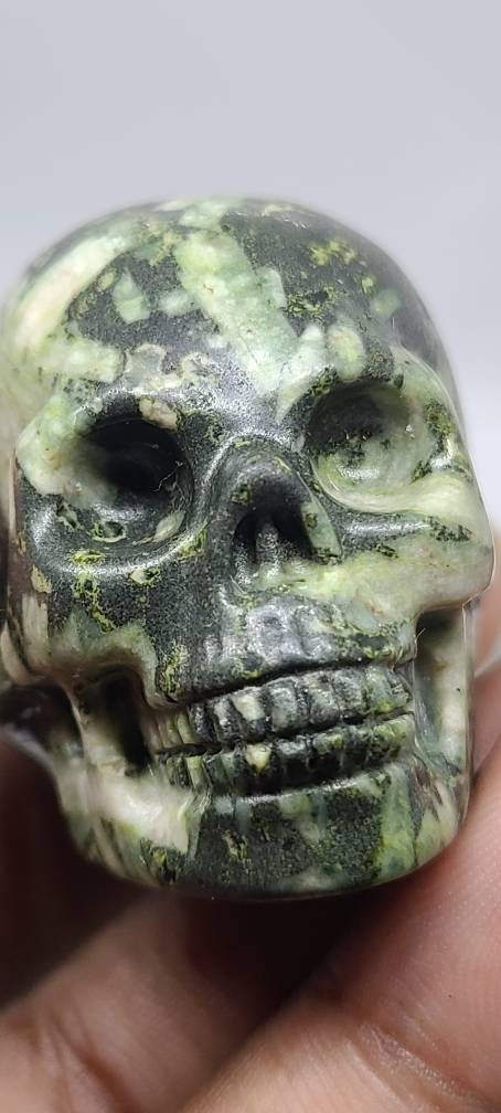 Green Crinoid Fossil / Shell Fossil Jasper Crystal Skull Carving! - Etsy