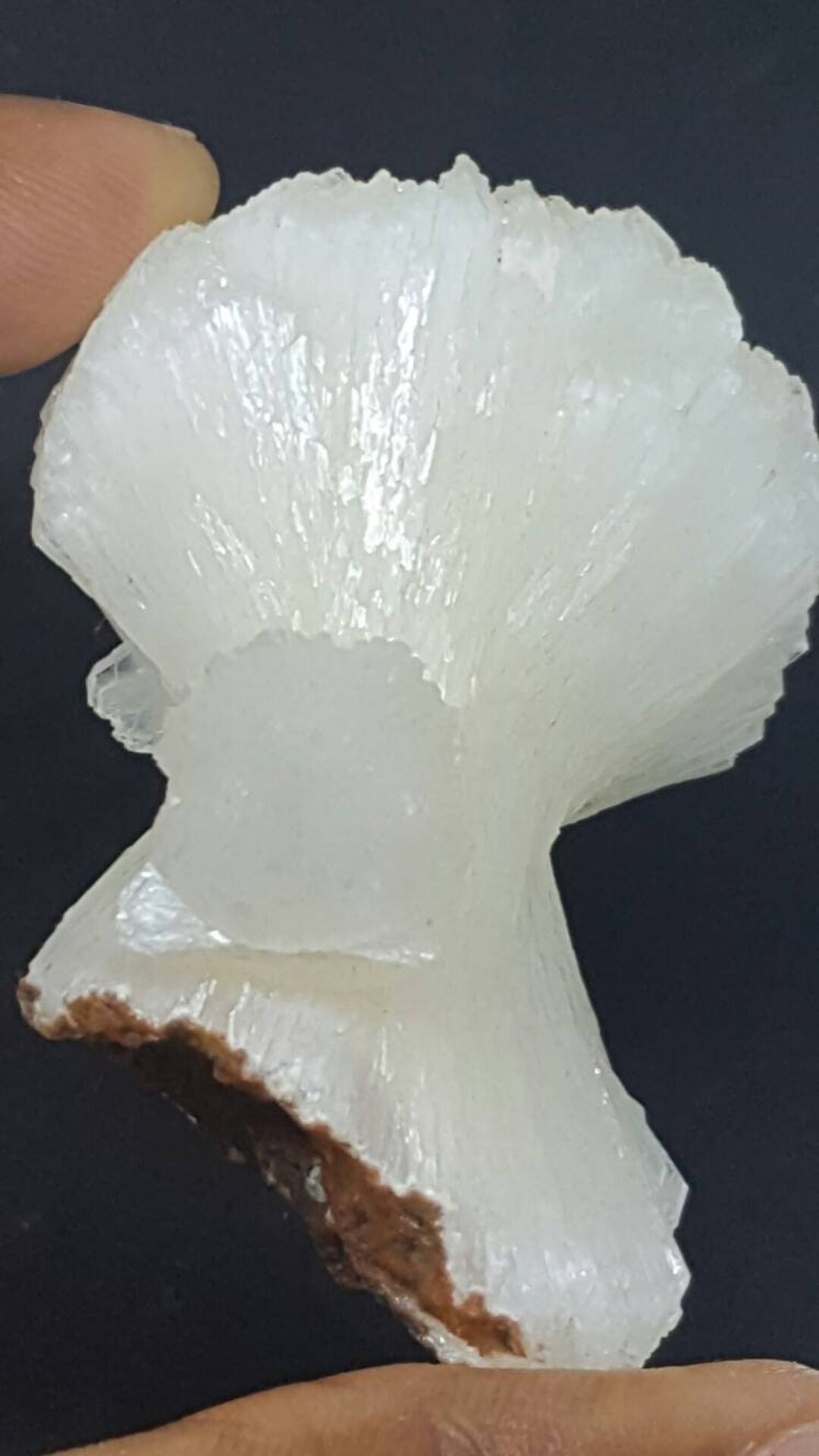 Aaa/rough White Stilbite/ Natural Zeolite/undamage/indian/specimen ...