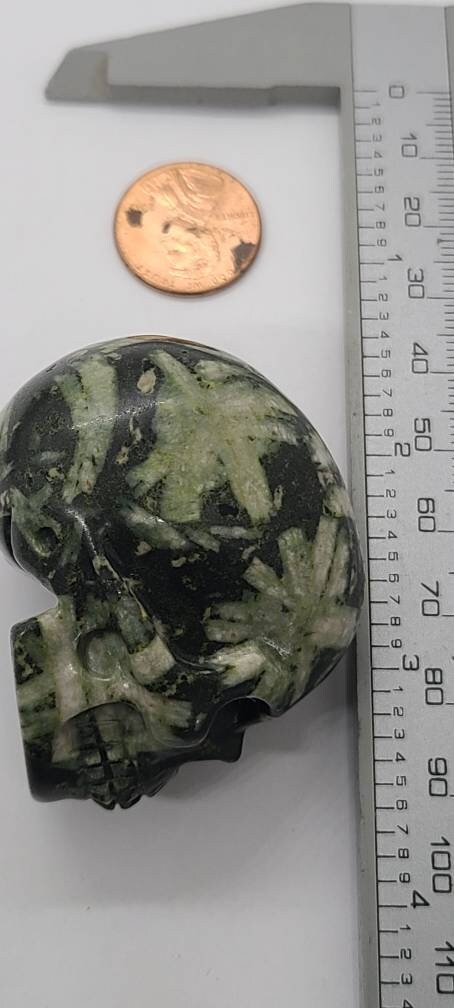 Green Crinoid Fossil / Shell Fossil Jasper Crystal Skull Carving! - Etsy