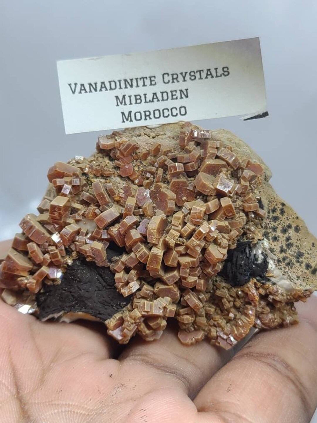 Vanadinite Cluster/vanadinite Crystal/moroccan/rock and Mineral/stone ...