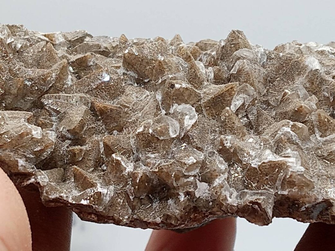 Chocolate Dogtooth Calcite Crystal Cluster! - Etsy