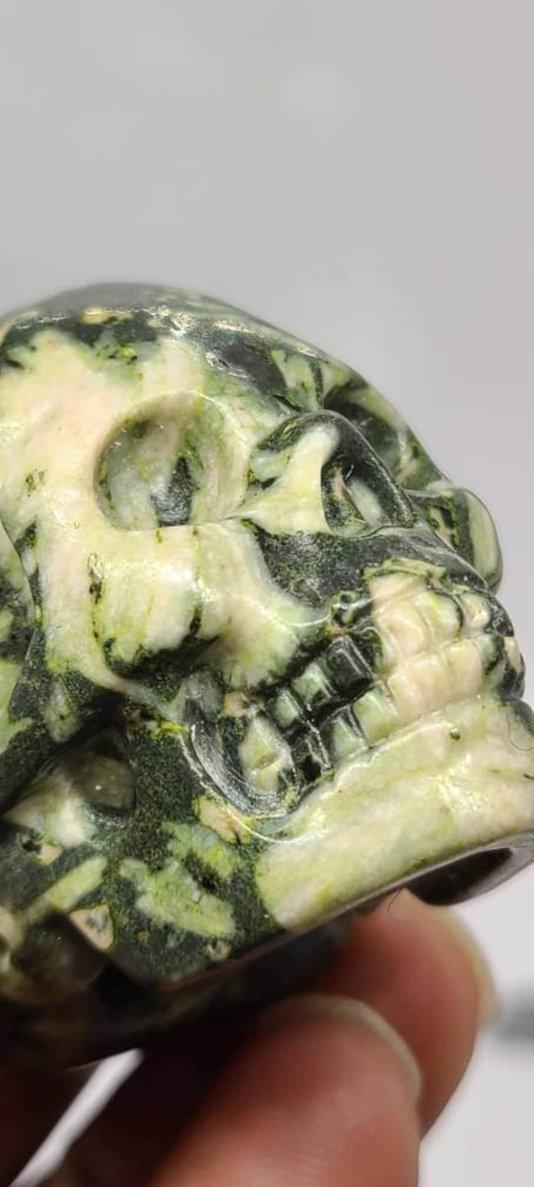 Green Crinoid Fossil / Shell Fossil Jasper Crystal Skull Carving! - Etsy