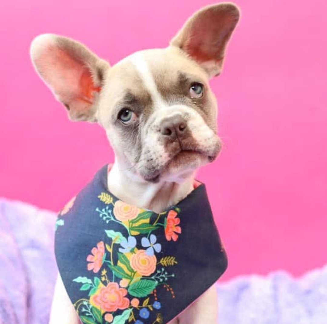Baby & Fur Baby Bandana Bib PDF Pattern - Etsy