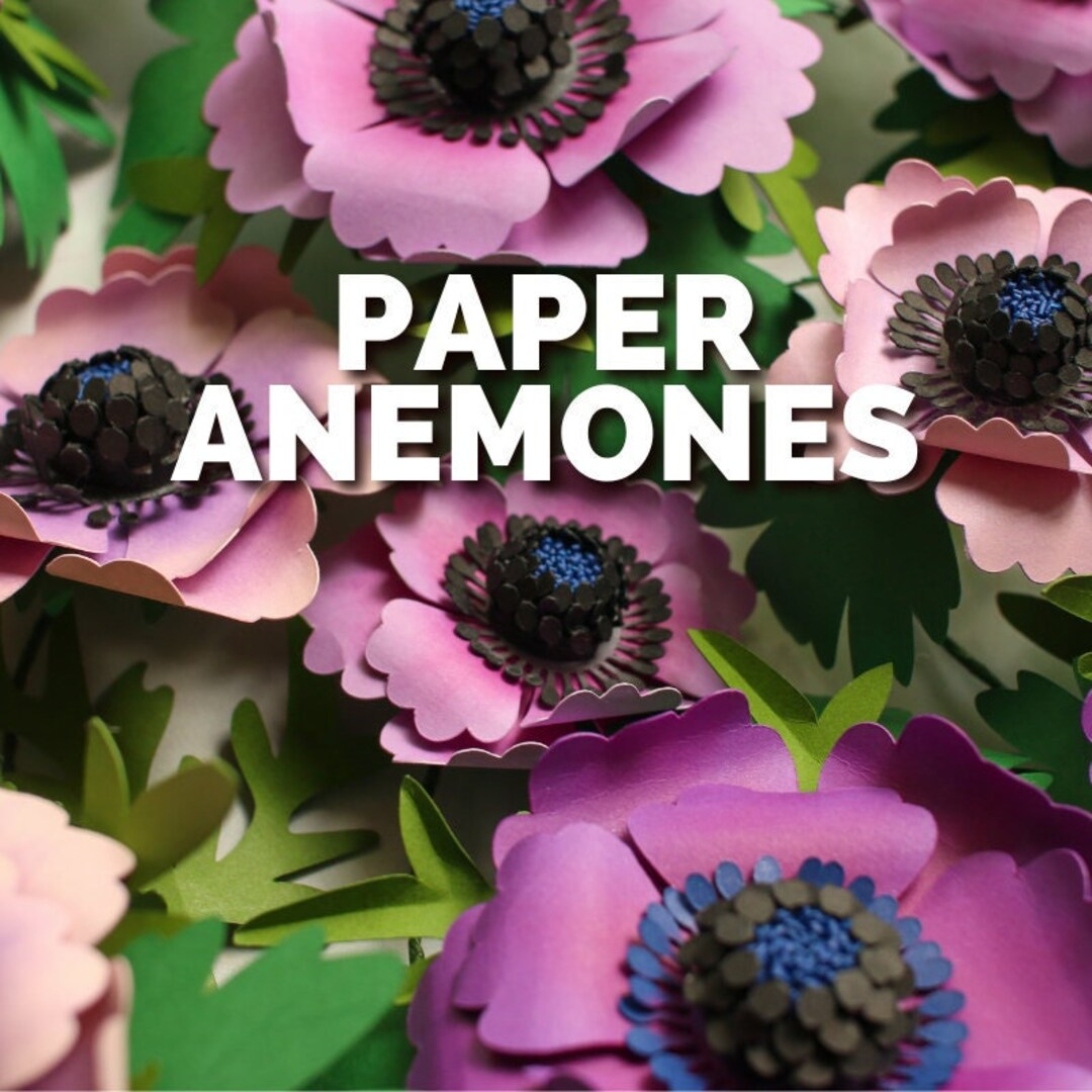Anemone Paper Flower SVG Template & Printable Tutorial - Etsy