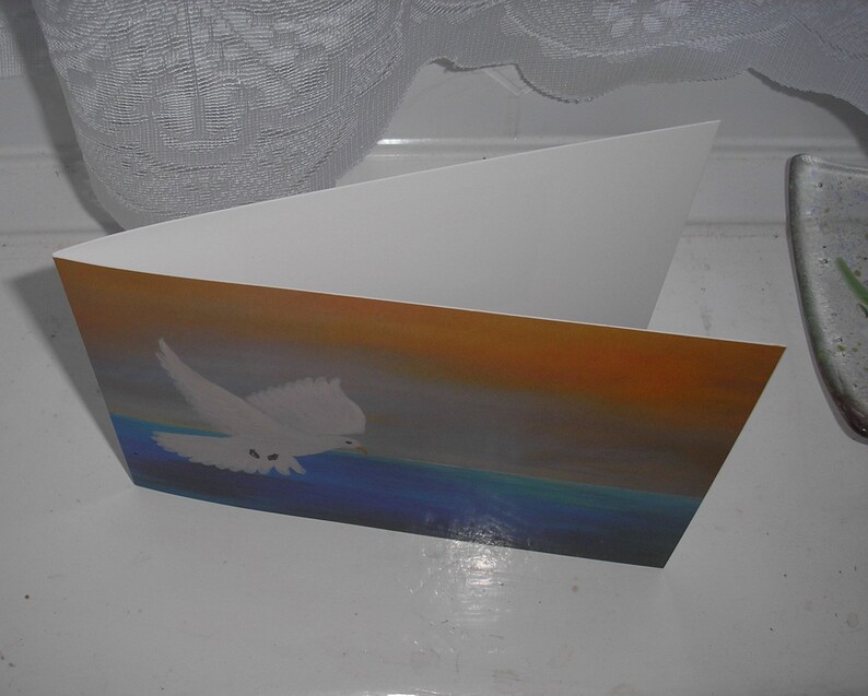 White Dove Greetings Card Blank Inside Dove Art Dove of - Etsy