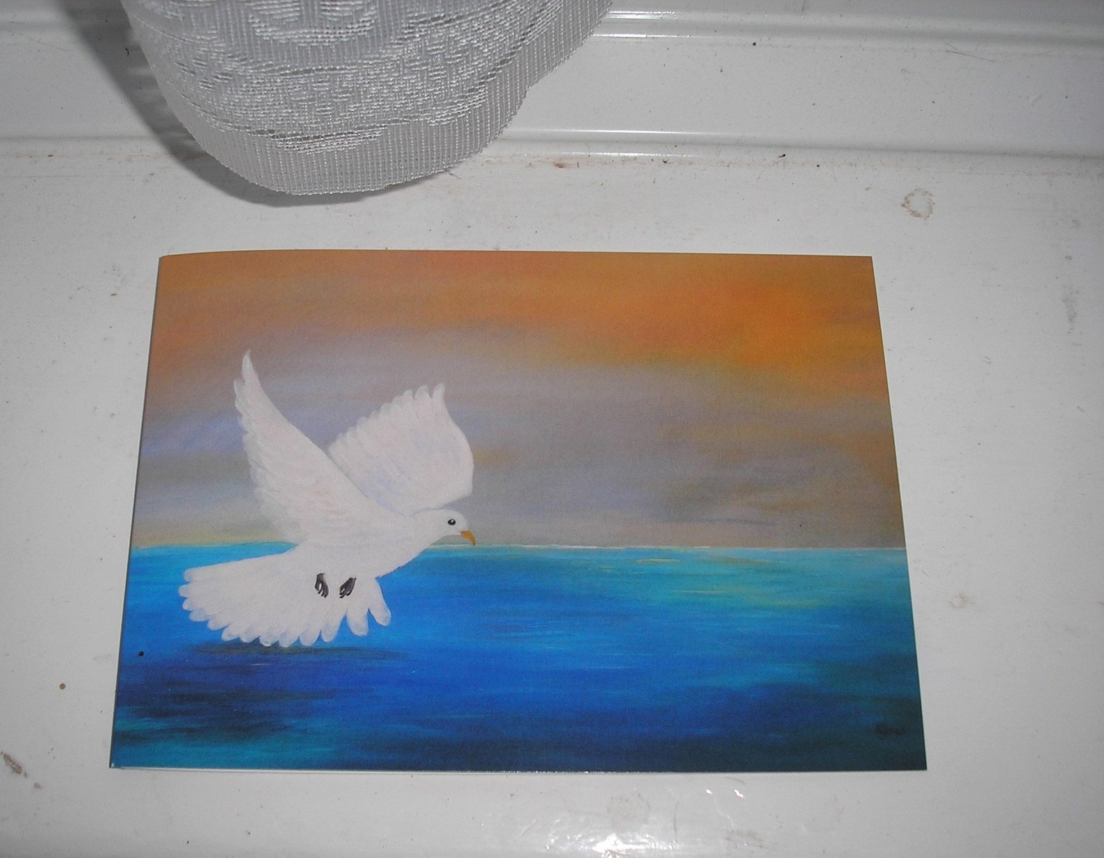 White Dove Greetings Card Blank Inside Dove Art Dove of - Etsy