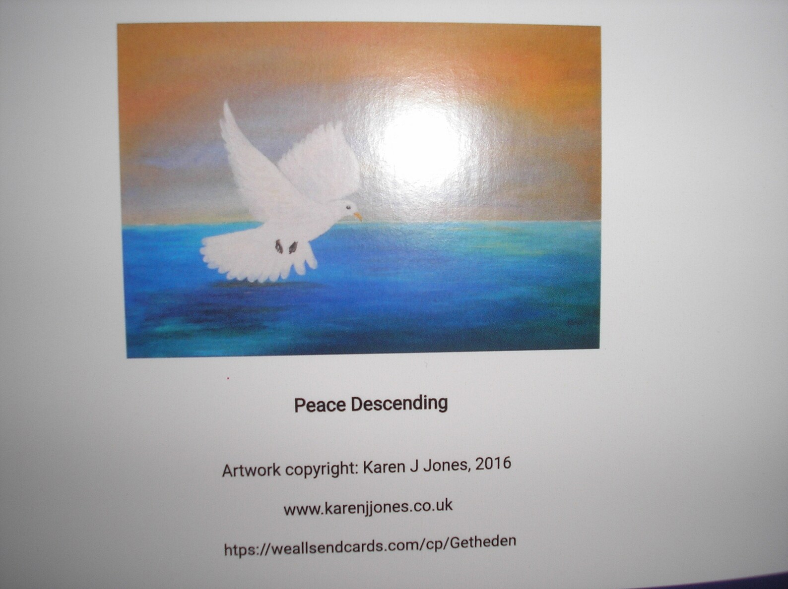 White Dove Greetings Card Blank Inside Dove Art Dove of - Etsy