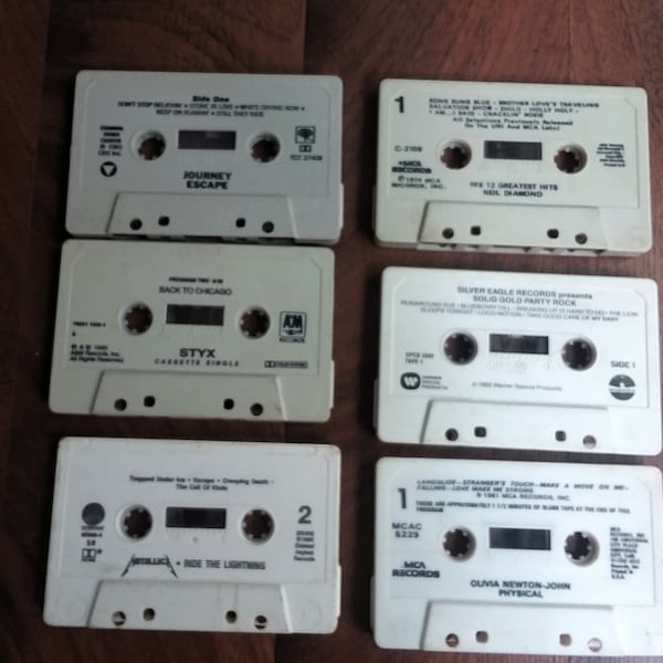 Cassette Tape Carrier - Etsy