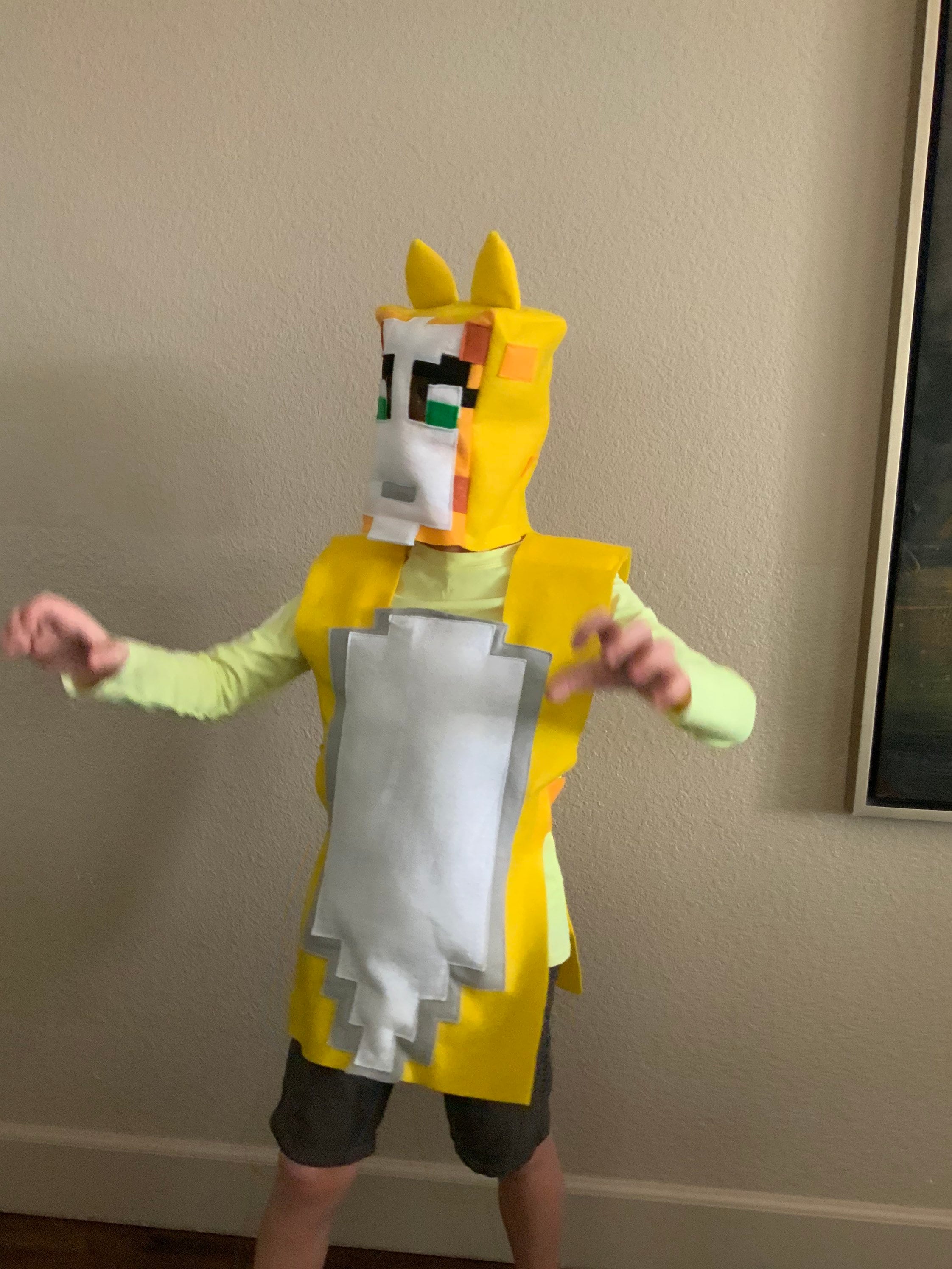 Minecraft Blaze Costume
