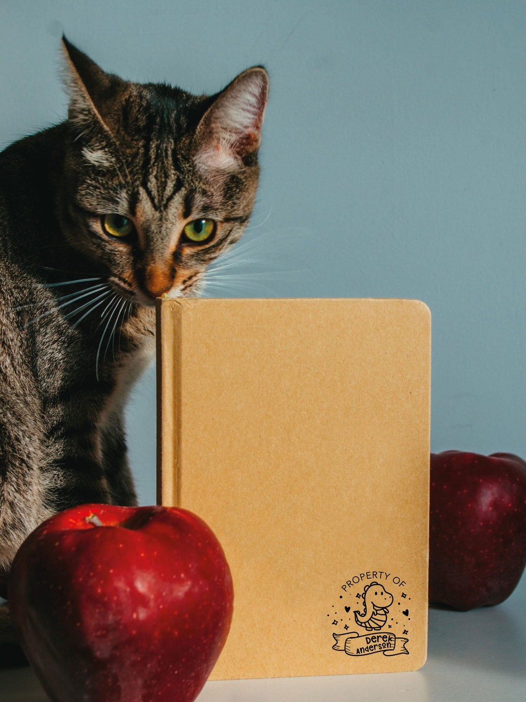 Cute Stamp T-rex Stamp Ex Libris Stamp Calligraphy Stamp - Etsy