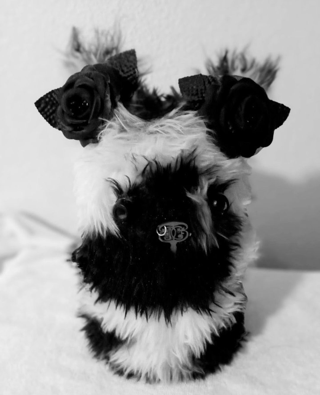 Black and White Furry Coin Bank - Etsy