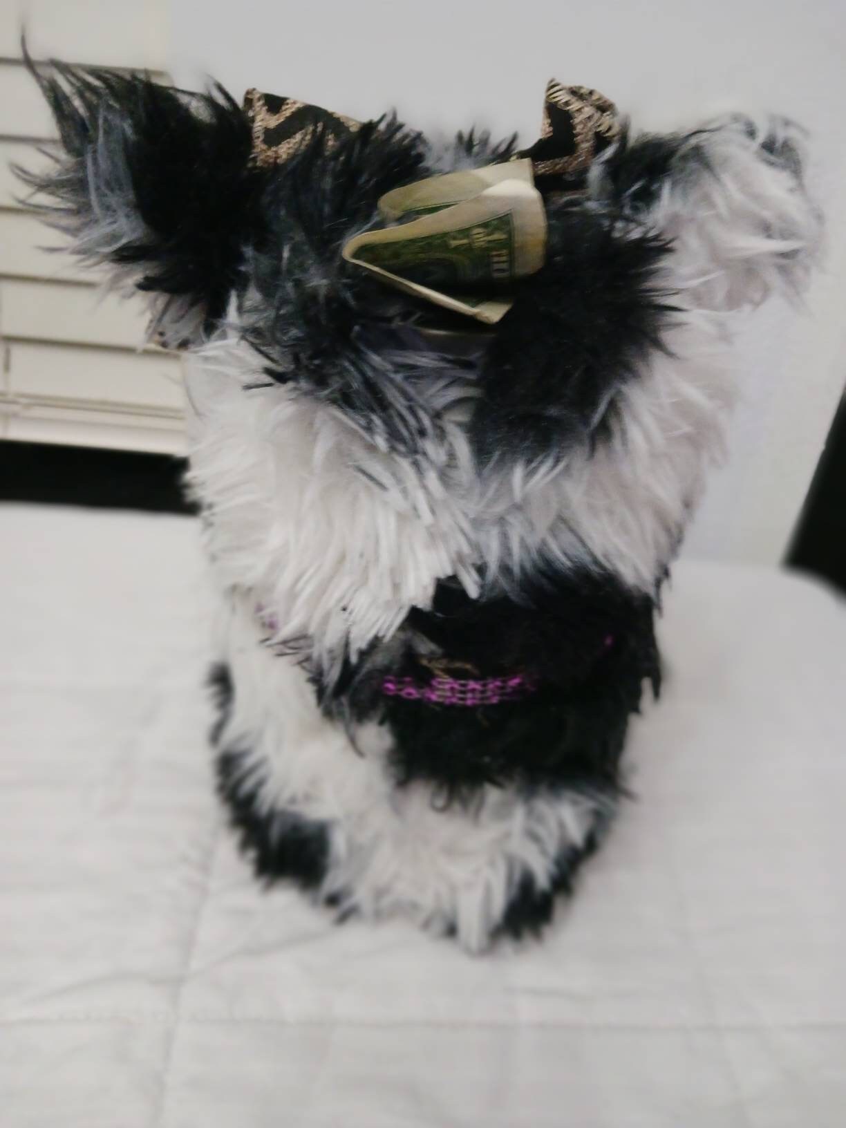 Black and White Furry Coin Bank - Etsy