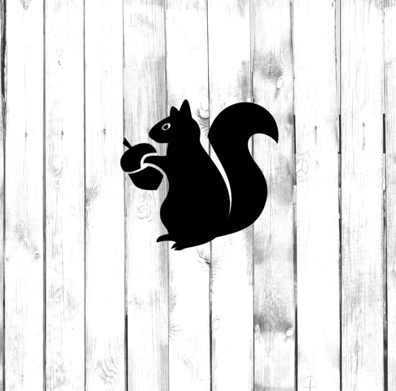 Squirrel With a Nut (acorn) - Di Cut Decal - Home/laptop/computer/truck ...