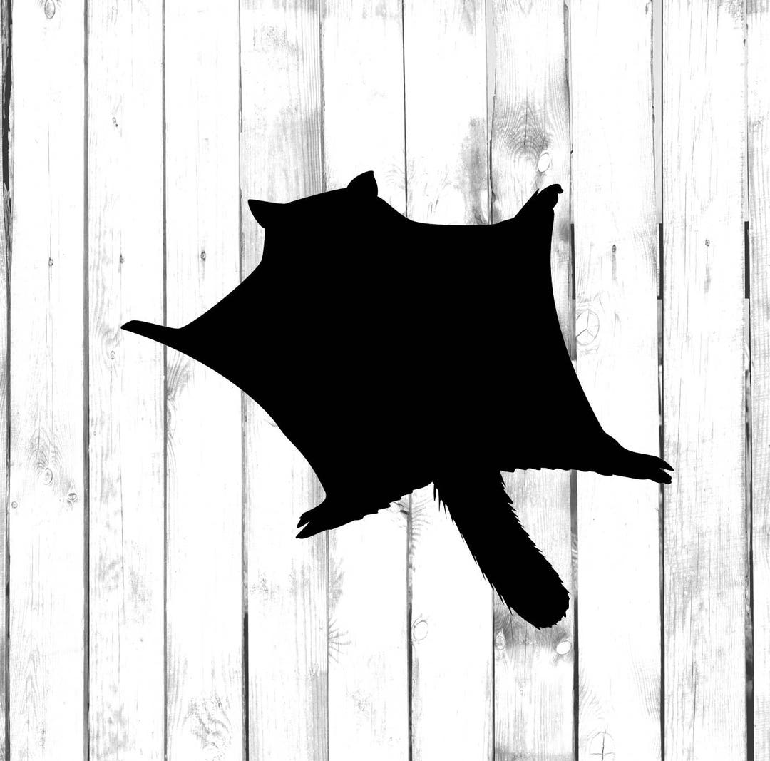 Flying Squirrel Di Cut Decal Car/truck/home/laptop/computer/yeti ...