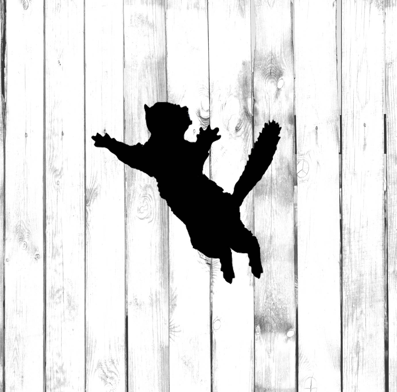 Flying Squirrel Silhouette