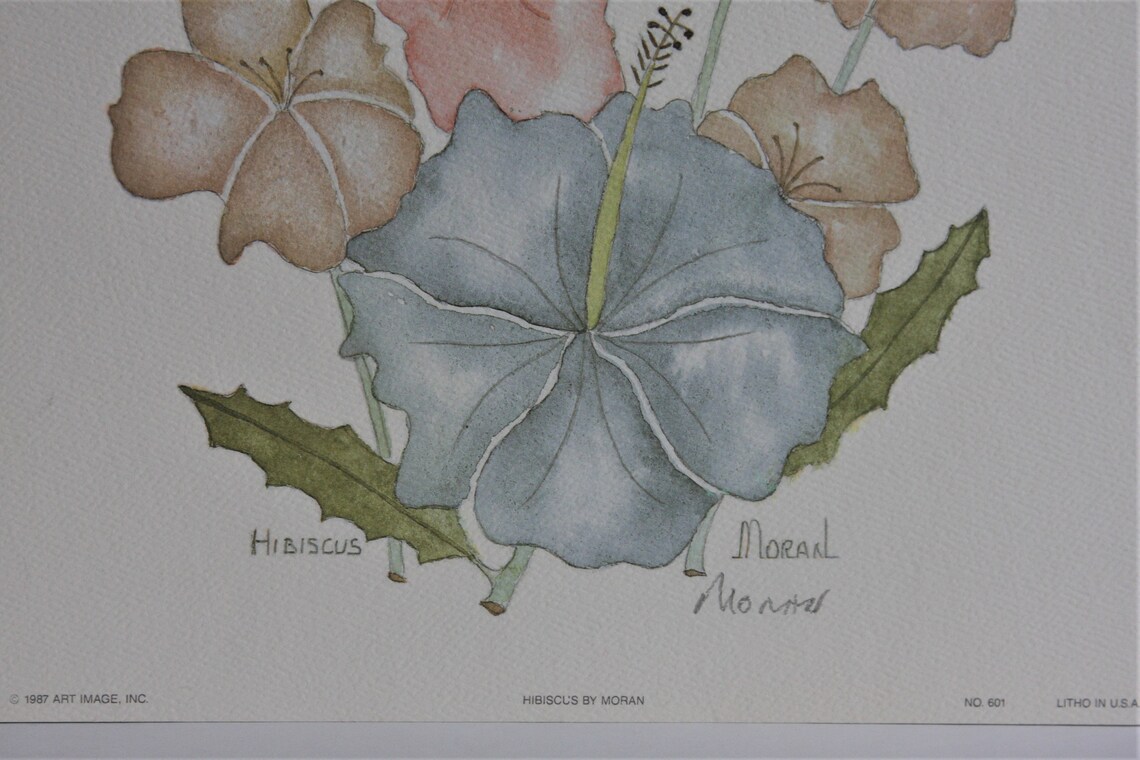 Two 1987 hibiscus Signed Botanical Lithograph Prints by Pat Moran ...